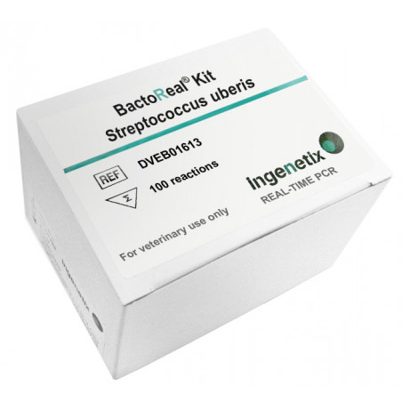 BactoReal Kit Streptococcus uberis